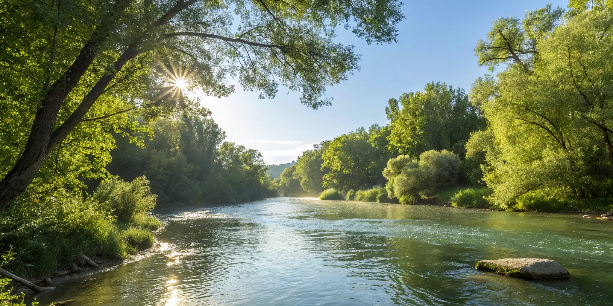 How Does UVB Light Therapy Calm the Immune System?